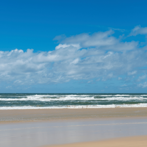 Australia's Best Beach Drives - Clearview