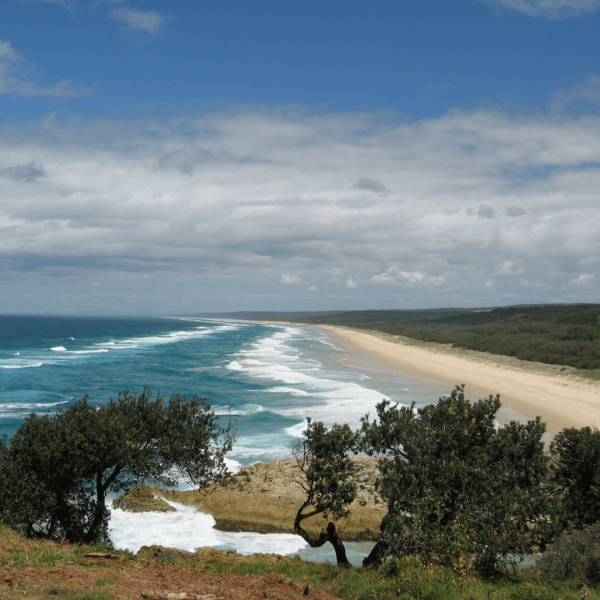 Australia's Best Beach Drives - Clearview