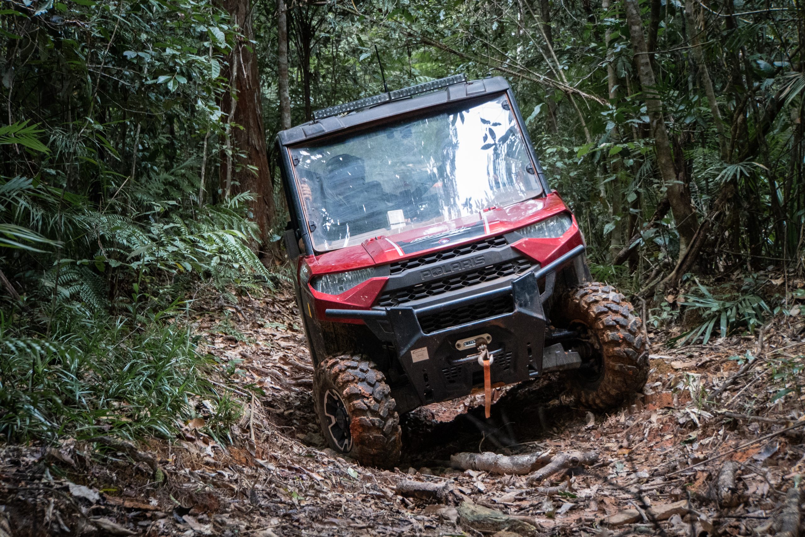 The Ultimate Buggy Towing Guide - Clearview